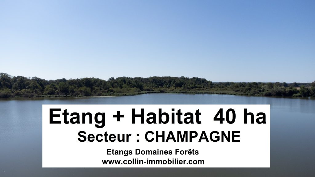 Étangs, Domaines & Forêts – Collin Immobilier