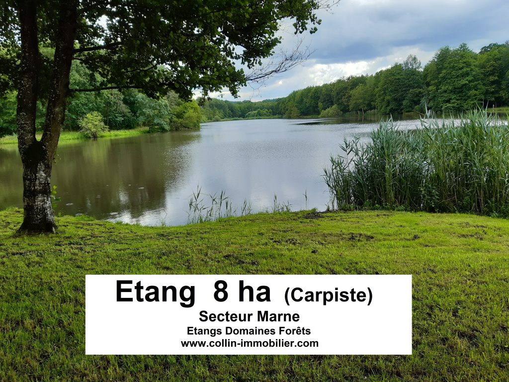 Étangs, Domaines & Forêts – Collin Immobilier